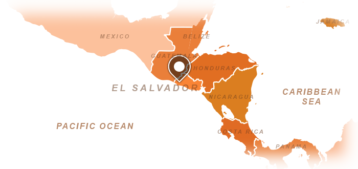 The Barrientos House